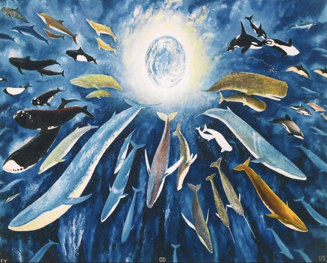 ARTIVISM – Project ANIMA